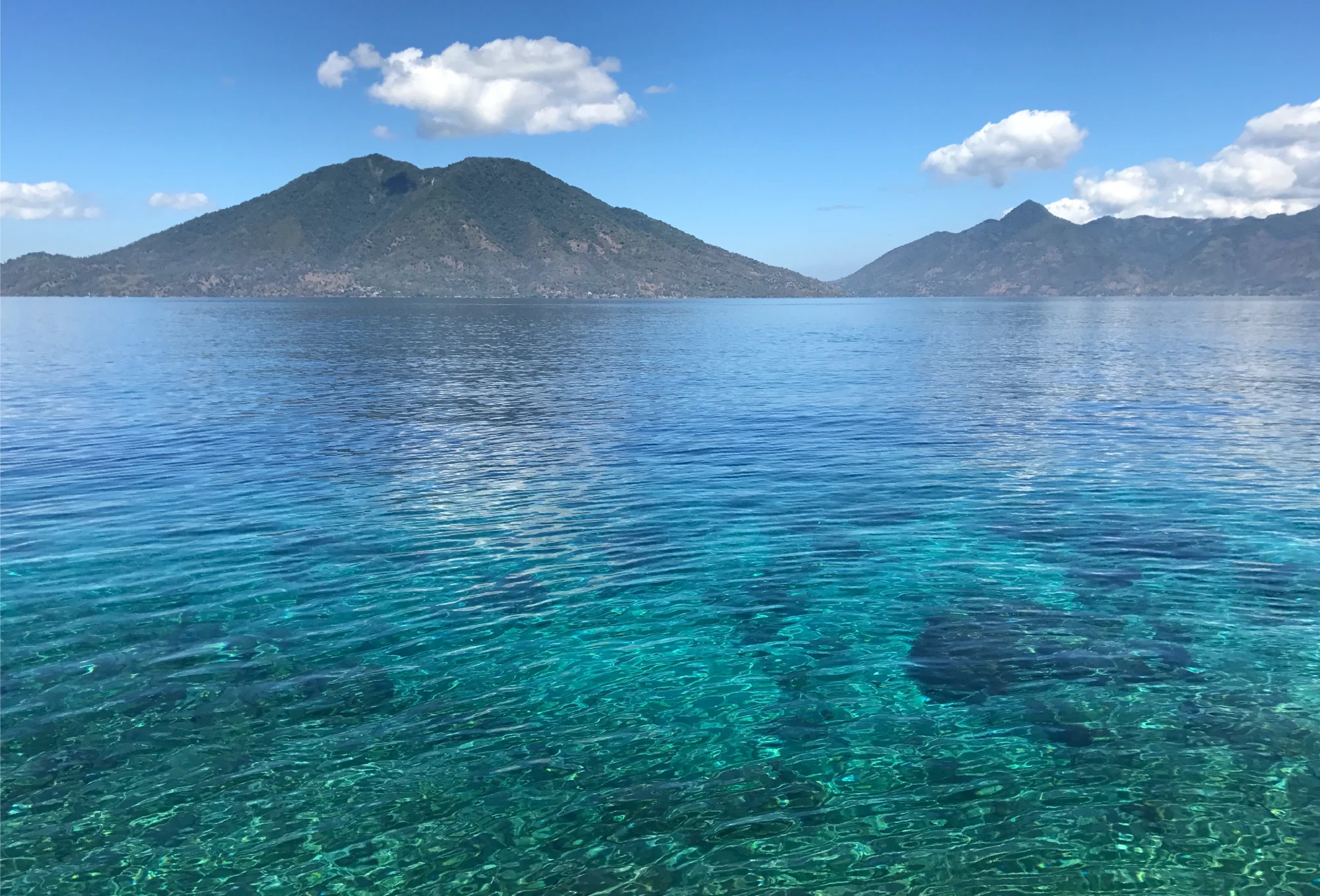 Alor Island Diving Guide: Top Sites, Best Time, and More